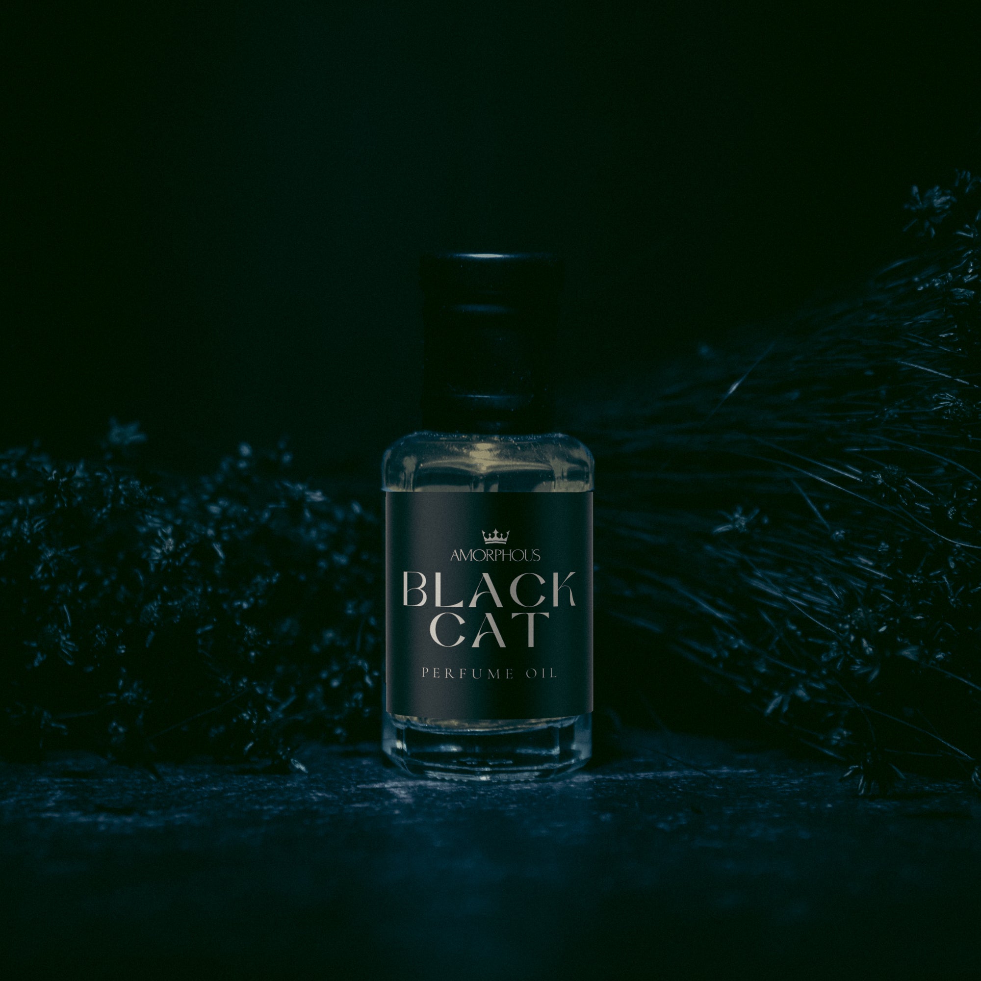 Witchy Perfume | Black Cat Perfume Oil | Dark Gothic Fragrance ...